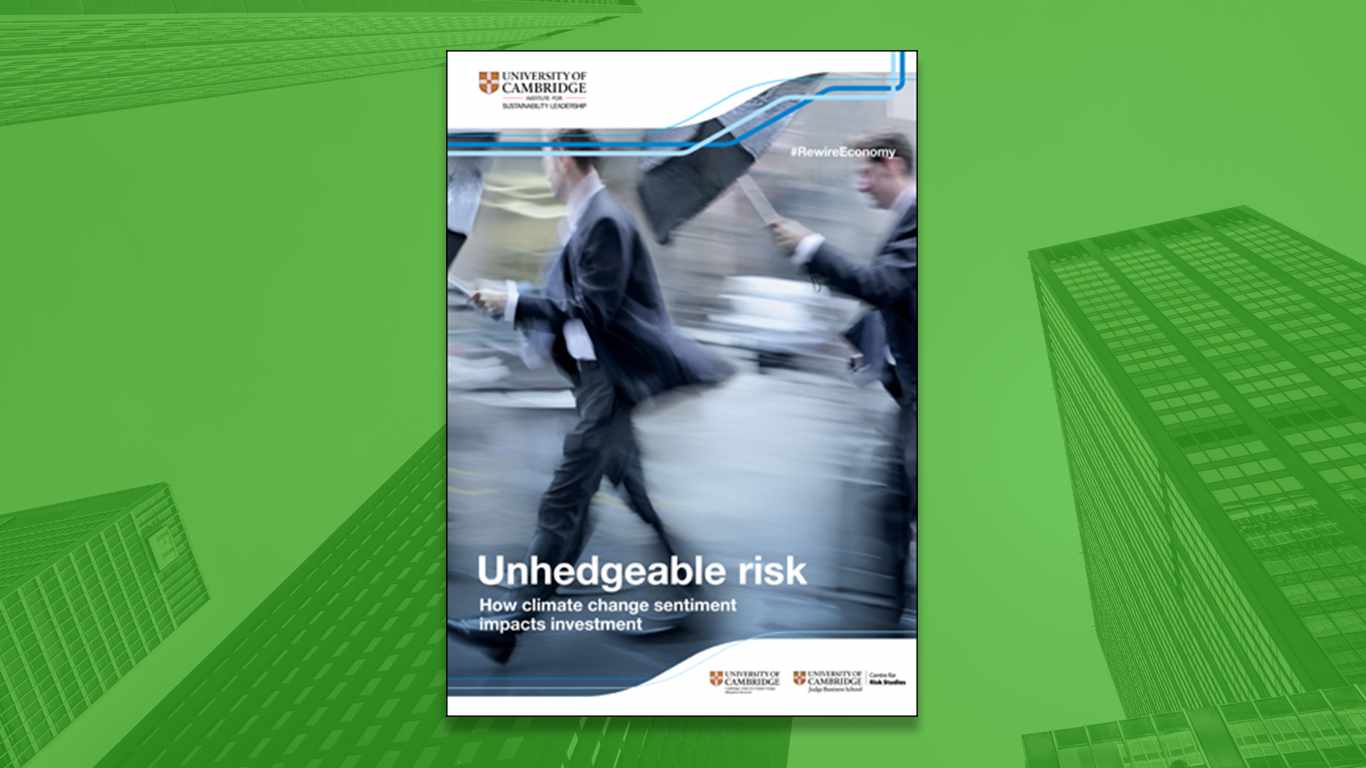 Unhedgeable risk: How climate change sentiment impacts investment ...