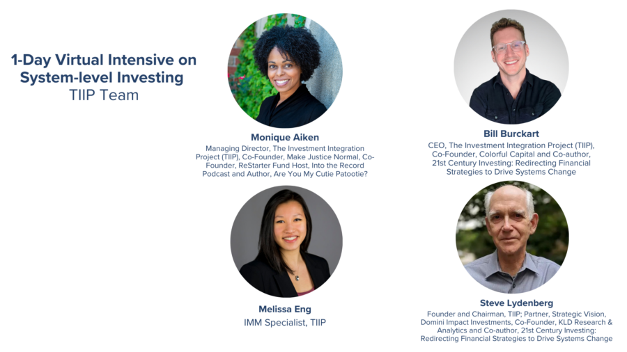 June Newsletter - TIIP The Investment Integration Project